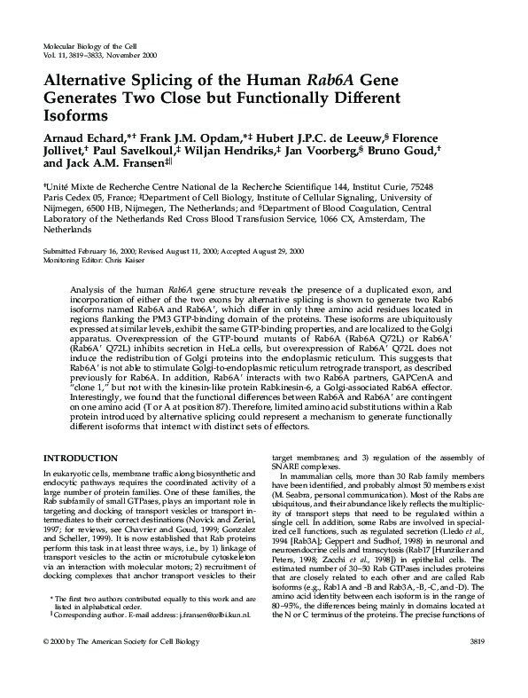 (PDF) Alternative Splicing of the Human Rab6A Gene Generates Two Close ...