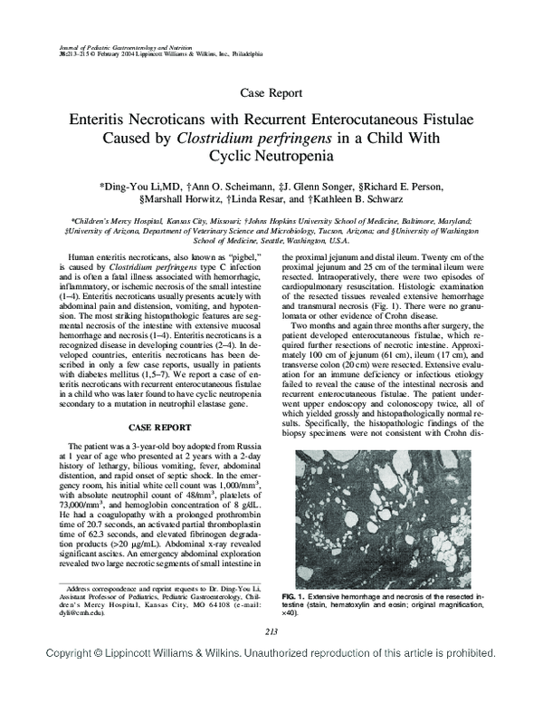 (PDF) Enteritis Necroticans with Recurrent Enterocutaneous Fistulae ...