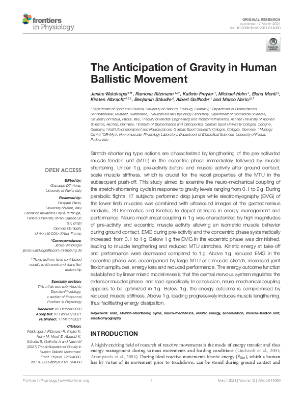 (PDF) The Anticipation of Gravity in Human Ballistic Movement