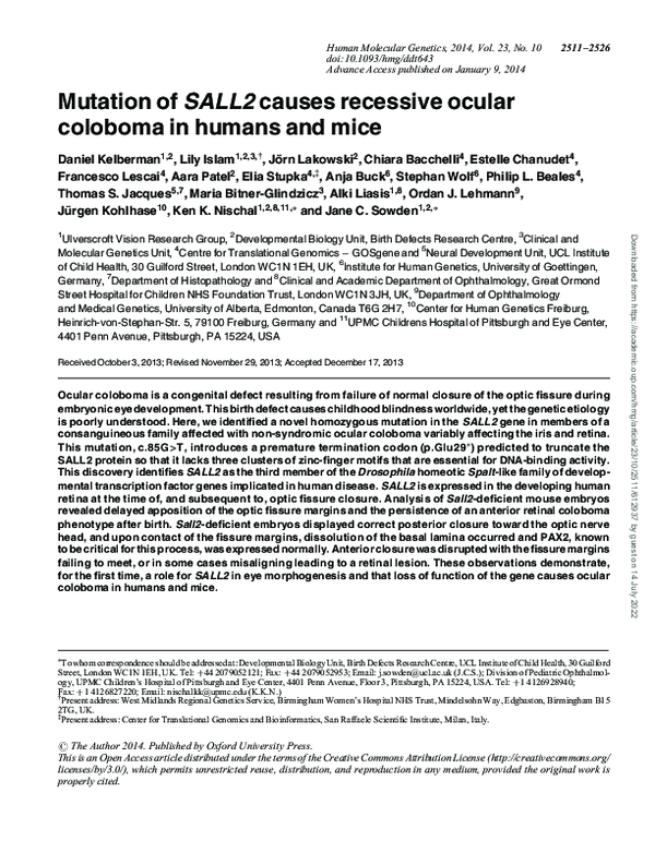 (PDF) Mutation of SALL2 causes recessive ocular coloboma in humans and mice