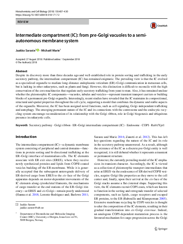 (PDF) Intermediate compartment (IC): from pre-Golgi vacuoles to a semi ...