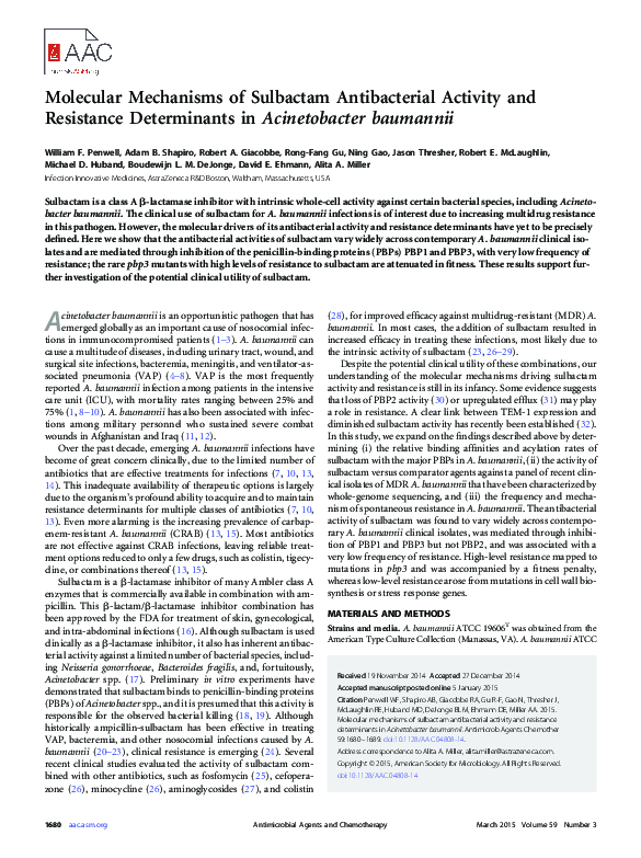 (PDF) Molecular Mechanisms of Sulbactam Antibacterial Activity and ...
