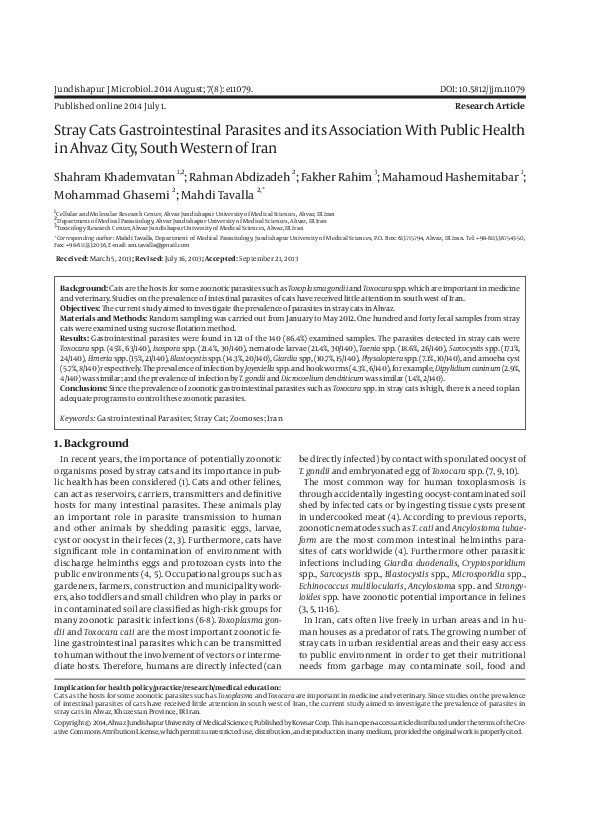 (PDF) Stray Cats Gastrointestinal Parasites and its Association With ...