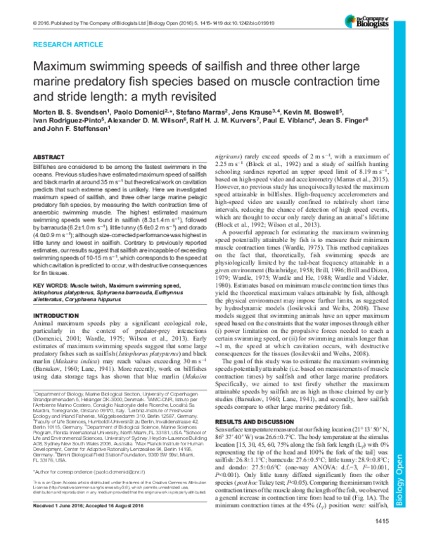(PDF) Maximum swimming speeds of sailfish and three other large marine ...
