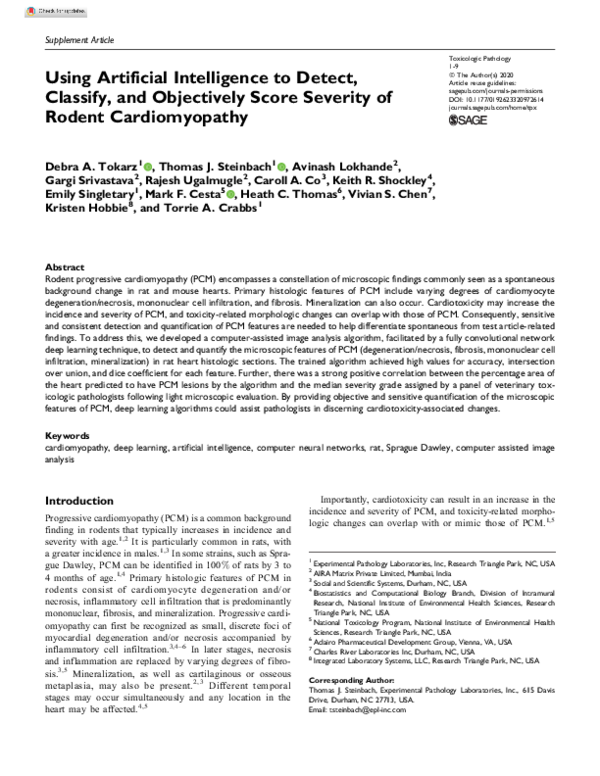 Pdf Using Artificial Intelligence To Detect Classify And Objectively Score Severity Of