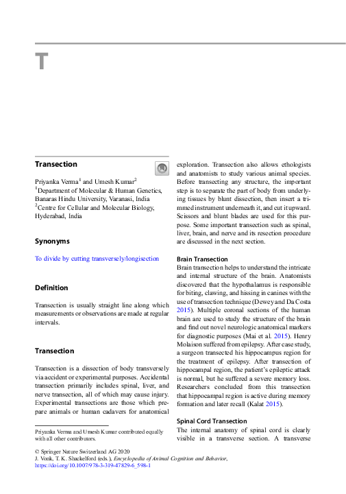 (PDF) Transection