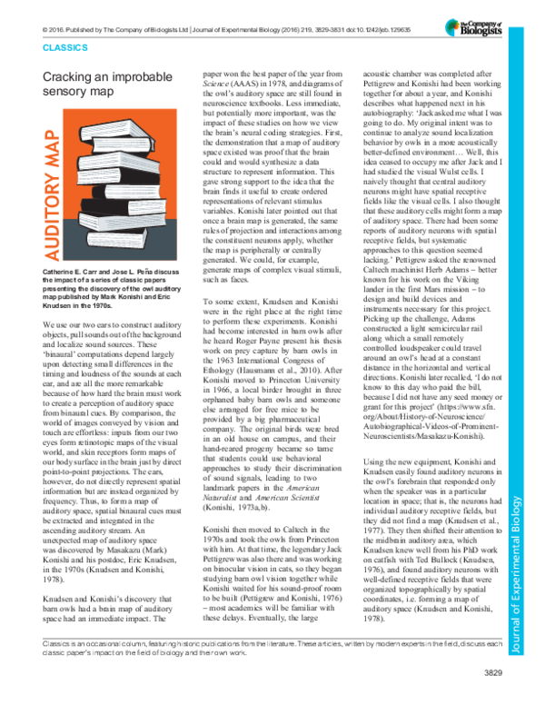 (PDF) Cracking an improbable sensory map