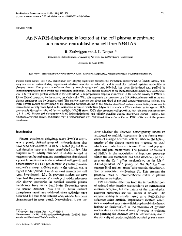 (PDF) An NADH-diaphorase is located at the cell plasma membrane in a ...
