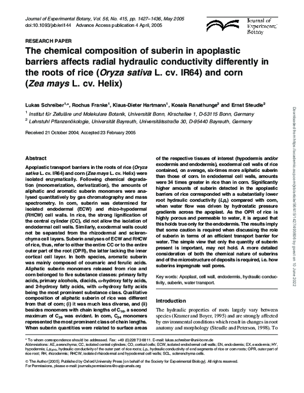 (PDF) The chemical composition of suberin in apoplastic barriers ...