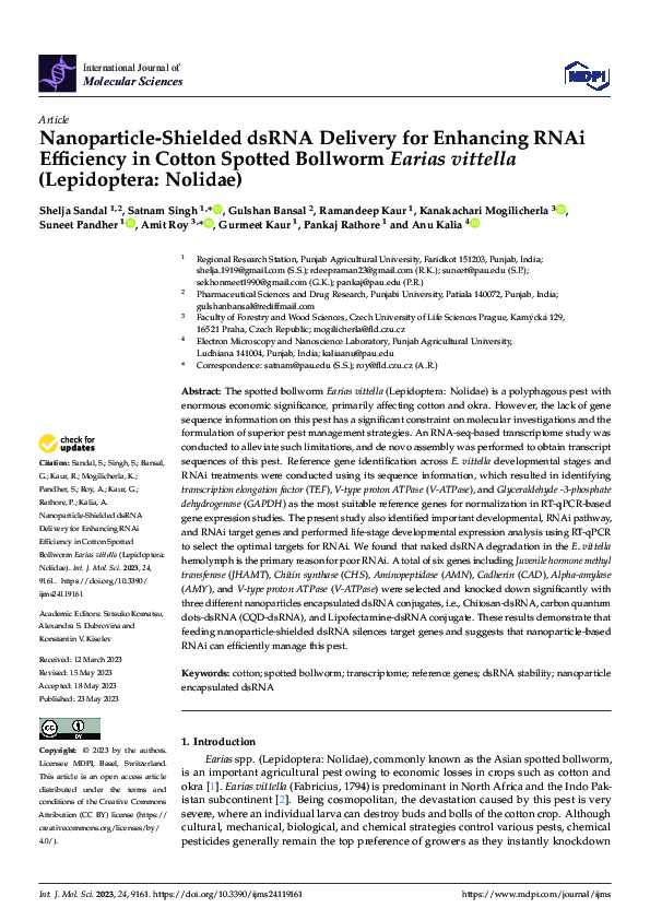 (PDF) Nanoparticle-Shielded dsRNA Delivery for Enhancing RNAi ...