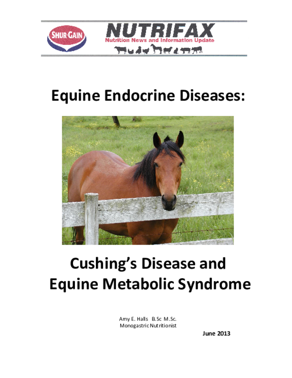 (PDF) Equine Endocrine Diseases : Cushing ’ s Disease and Equine Metabolic Syndrome | Amy Halls ...