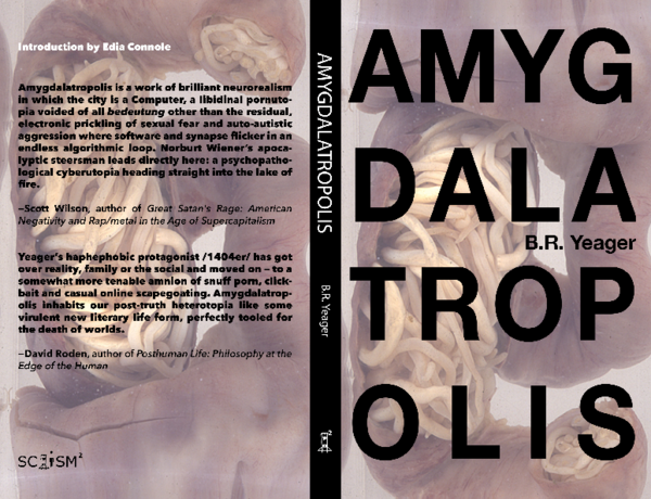 (PDF) Introduction to B.R. Yeager's Amygdalatropolis