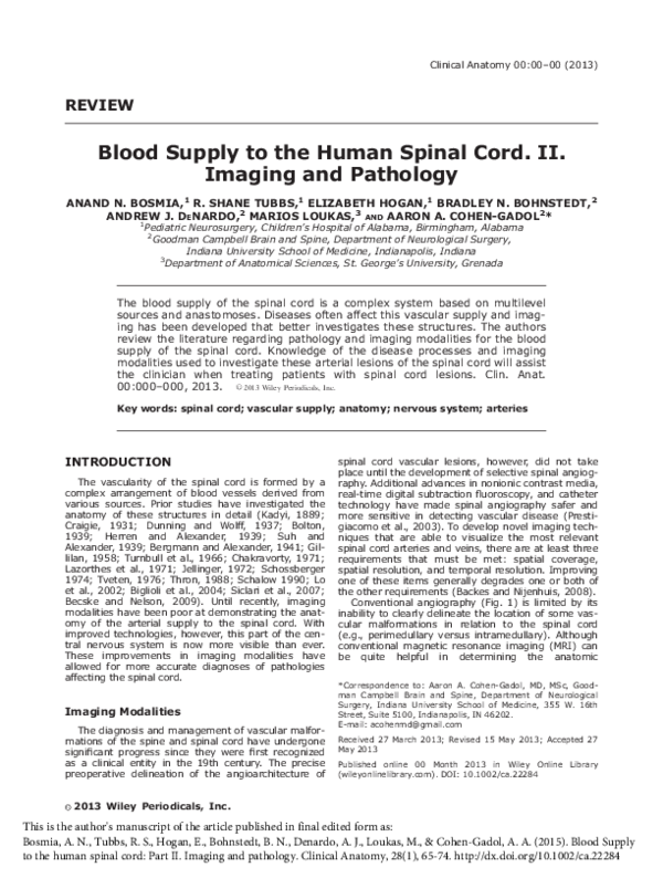 (PDF) Blood Supply to the human spinal cord: Part II. Imaging and pathology