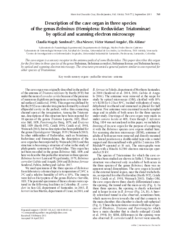 (PDF) Description of the cave organ in three species of the genus ...