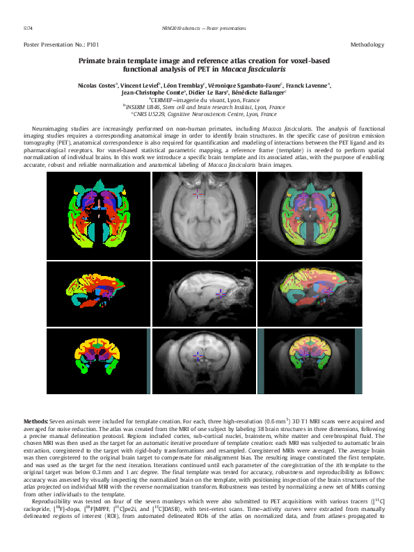 (PDF) Primate brain template image and reference atlas creation for voxel-based functional ...
