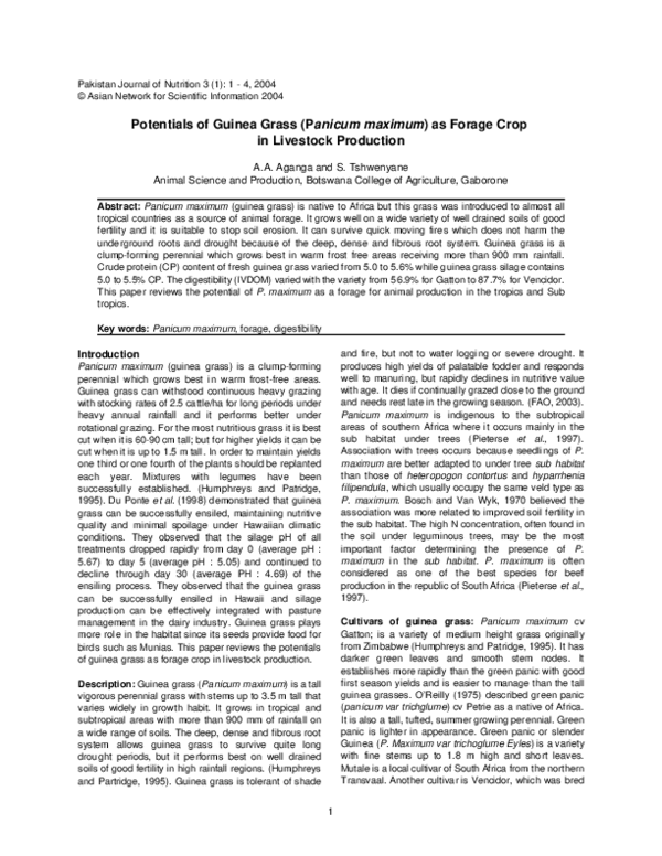Pdf Potentials Of Guinea Grass Panicum Maximum As Forage Crop In Livestock Production