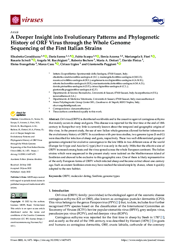 (PDF) A Deeper Insight into Evolutionary Patterns and Phylogenetic ...