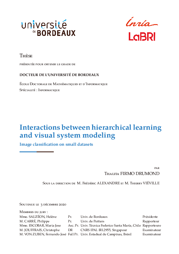 Interactions between hierarchical learning and visual system modeling : image classification on ...