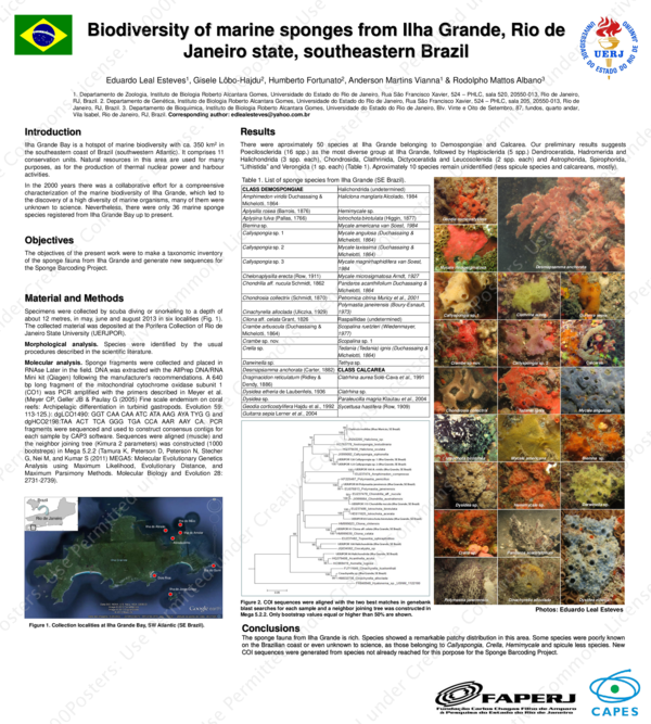 (PDF) Biodiversity of marine sponges from Ilha Grande, Rio de Janeiro ...