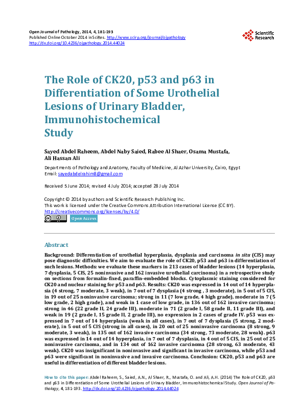 (PDF) The Role of CK20, p53 and p63 in Differentiation of Some ...