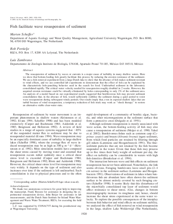 (PDF) Fish facilitate wave resuspension of sediment