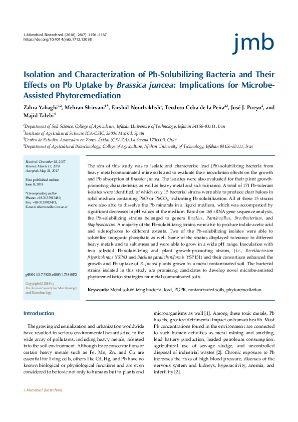 (PDF) Isolation and Characterization of Pb-Solubilizing Bacteria and ...