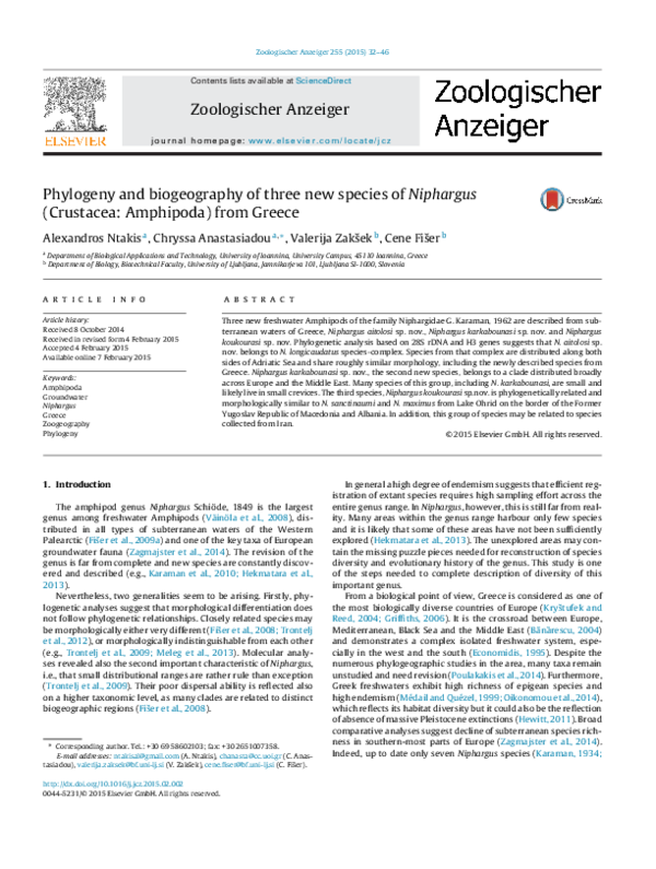 (PDF) Phylogeny and biogeography of three new species of Niphargus ...