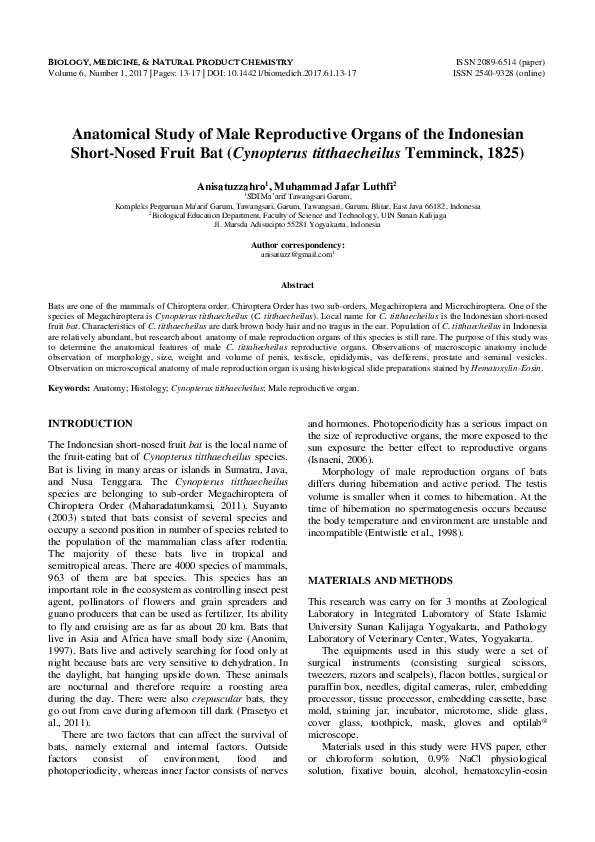 (PDF) Anatomical Study of Male Reproductive Organs of the Indonesian ...