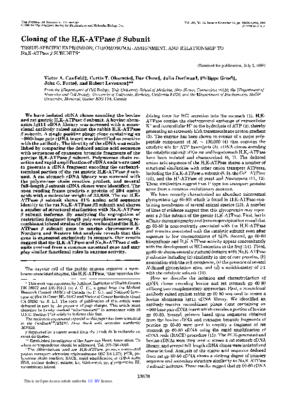 Pdf Cloning Of The Hk Atpase Beta Subunit Tissue Specific Expression Chromosomal Assignment