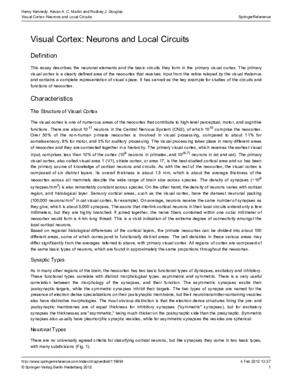 (PDF) Visual Cortex: Neurons and Local Circuits