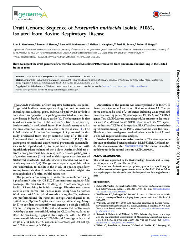 (PDF) Draft Genome Sequence of Pasteurella multocida Isolate P1062, Isolated from Bovine ...