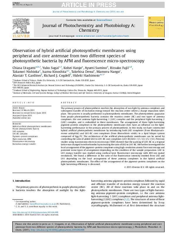 (PDF) Observation of hybrid artificial photosynthetic membranes using peripheral and core ...