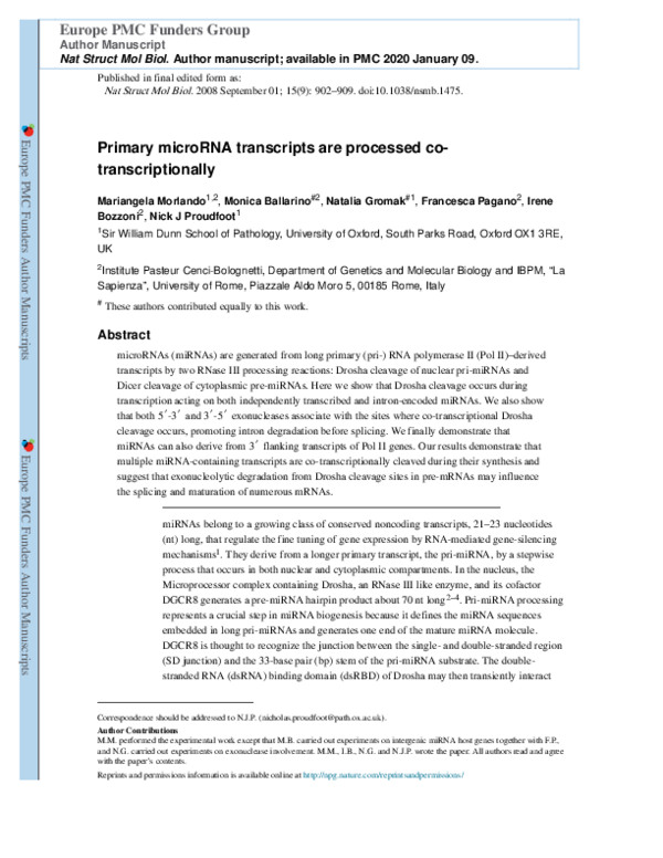 (PDF) Primary microRNA transcripts are processed co-transcriptionally