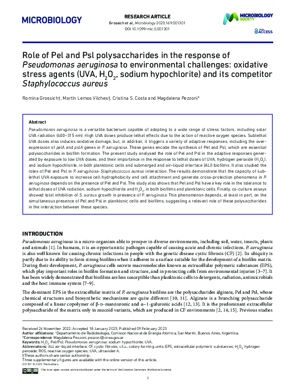 (PDF) Role of Pel and Psl polysaccharides in the response of ...