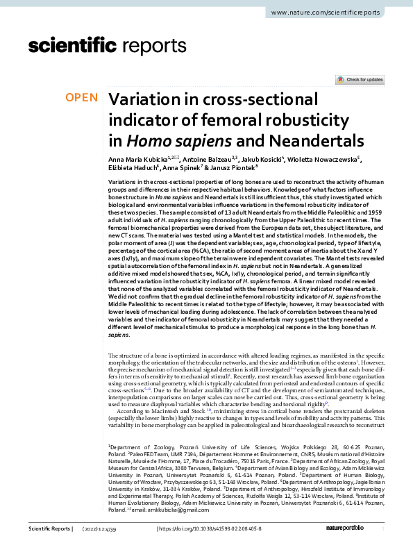 (PDF) Variation in cross-sectional indicator of femoral robusticity in ...