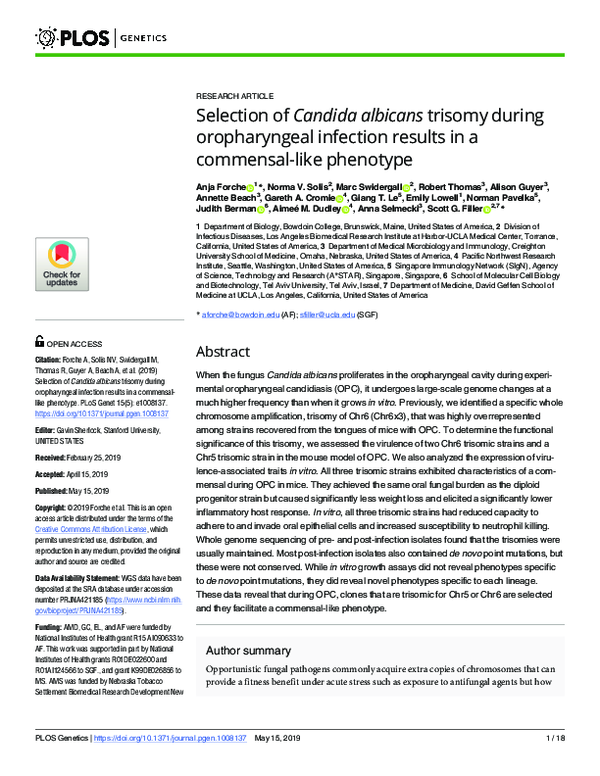 (PDF) Selection of Candida albicans trisomy during oropharyngeal ...
