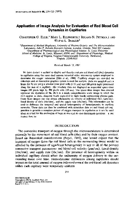 (PDF) Application of image analysis for evaluation of red blood cell dynamics in capillaries ...