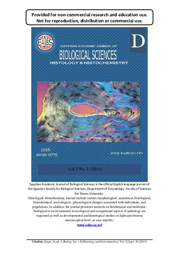 (PDF) Morphology and ultrastructure of male accessory glands in ...