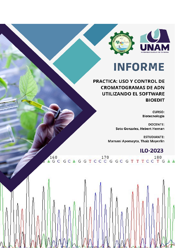 (PDF) PRACTICA: USO Y CONTROL DE CROMATOGRAMAS DE ADN UTILIZANDO EL ...