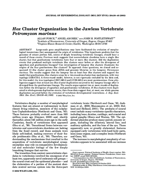 (PDF) Hox cluster organization in the jawless vertebratePetromyzon marinus