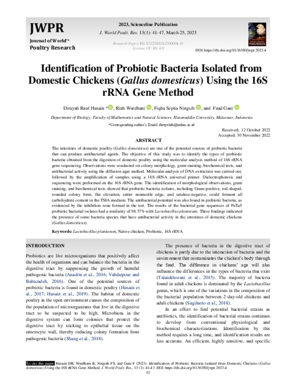 (PDF) Identification of Probiotic Bacteria Isolated from Domestic Chickens (Gallus domesticus ...