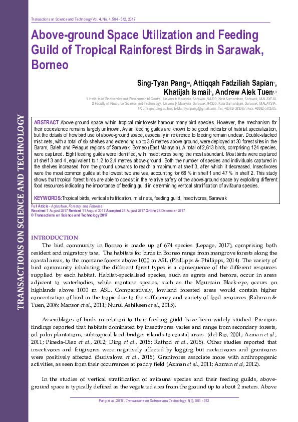 (PDF) Bird Feeding Guilds in Borneo Rainforests