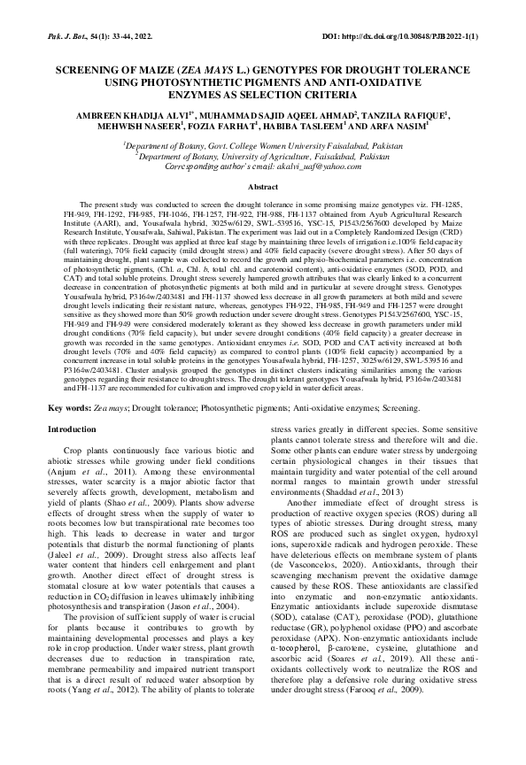 (PDF) Screening of maize (Zea mays L.) genotypes for drought tolerance using photosynthetic ...