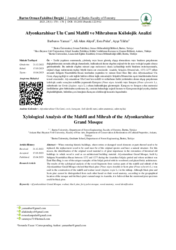 (PDF) Afyonkarahisar Ulu Cami Mahfil ve Mihrabının Ksilolojik Analizi