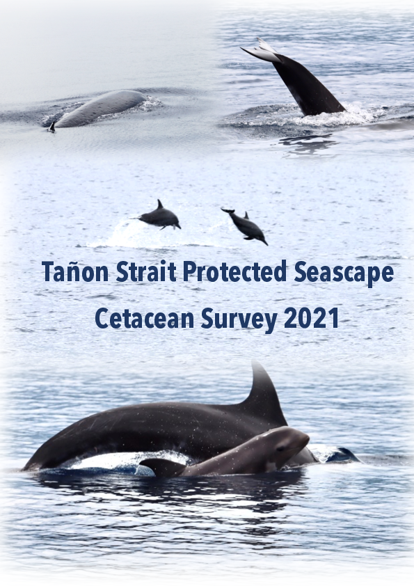 (PDF) Tañon Strait Protected Seascape Cetacean Survey 2021