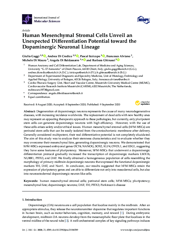 (PDF) Human Mesenchymal Stromal Cells Unveil an Unexpected ...