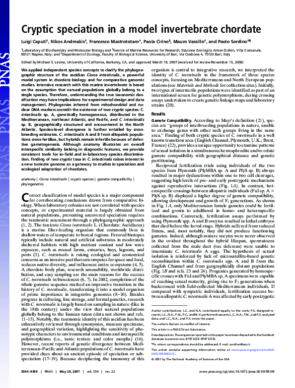(PDF) Cryptic speciation in a model invertebrate chordate