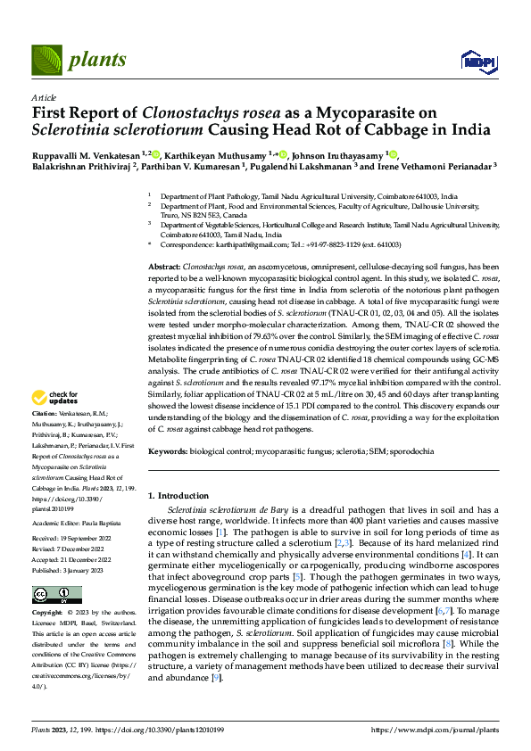 (PDF) First Report of Clonostachys rosea as a Mycoparasite on ...