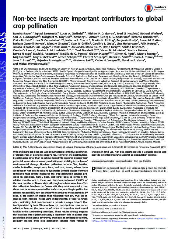 (PDF) Non-bee insects are important contributors to global crop pollination