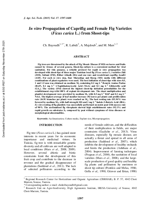 (PDF) In vitro Propagation of Caprifig and Female Fig Varieties (Ficus ...